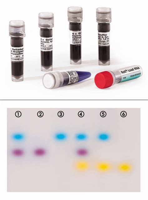Gel Loading Buffer Roti Load DNA Penli