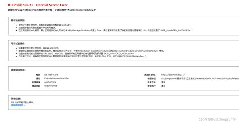 Net Core项目部署在iis上遇见的问题处理程序“aspnetcore”在其模块列表中有一个错误模块