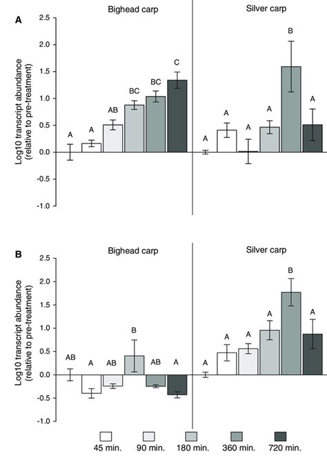 Relative Transcript Abundance For Genes Associated With Reducing Download Scientific Diagram