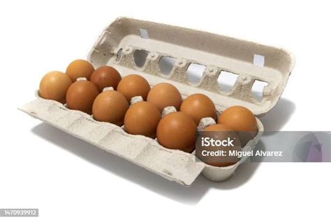 12 개의 갈색 계란이 들어있는 계란 상자 용기 흰색 배경에 격리되어 있습니다 0명에 대한 스톡 사진 및 기타 이미지 0명 가금류 갈색 Istock