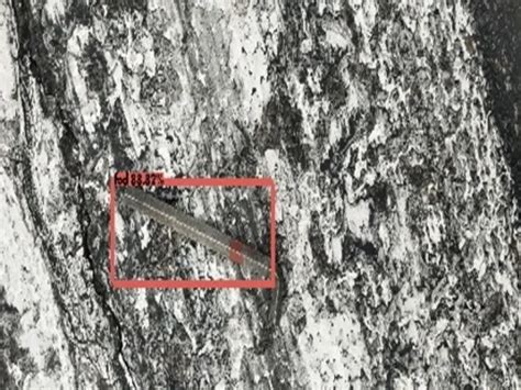 A Real Time Object Detection System Deployed On Nvidia Jetson Nano