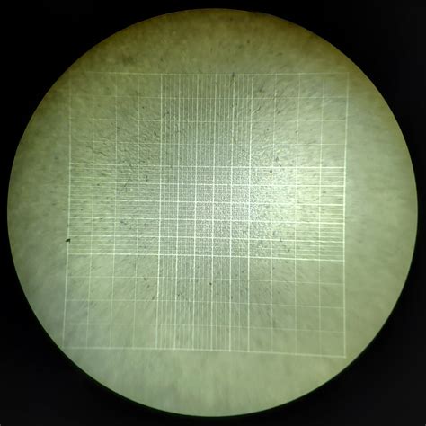 Improved Neubauer Hemocytometer Cell Counting Chamber With Bright Lin Labnique