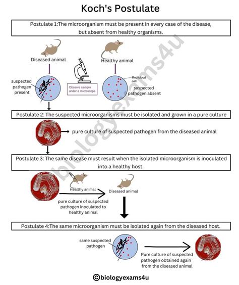 9 Exceptions To Kochs Postulates Scientific Method Posters Worksheets Answer Keys