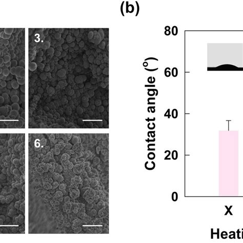 Surface Characterization Of Monolith Modified Cellulose Paper A Sem Download Scientific
