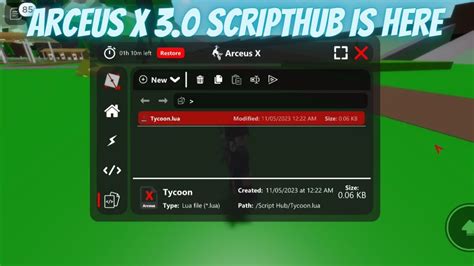 How To Use Arceus X 3 0 Scripthub Under 1 Minute YouTube