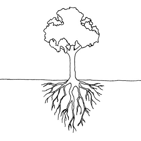 Call Before You Dig Construction And Tree Root Damage Arbor S Edge