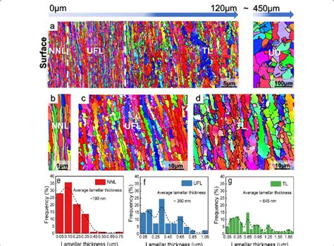 A The Gradient Lamellar Microstructure Of The Uadred Ni Ebsd Images