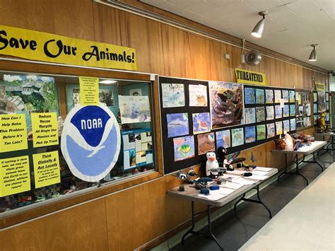Kadeendangered Species Display2 Noaa Teacher At Sea Blog
