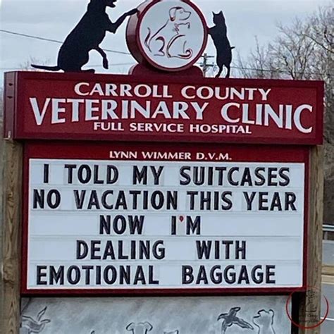 21 Hilarious Signs Brought To You By A Vet Clinic