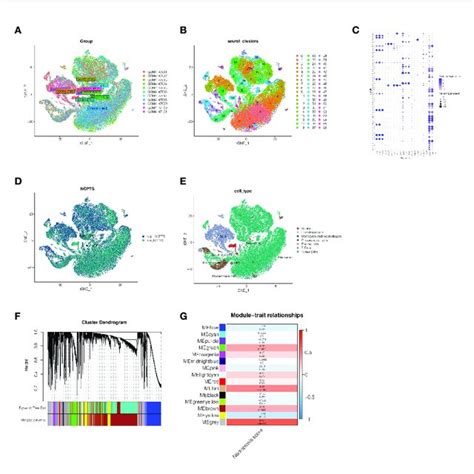 Single Cell Sequencing Analysis Of Gse139829 A The Integration Download Scientific Diagram