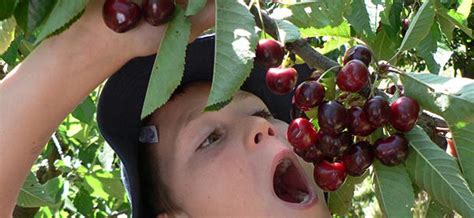 langgraph 101 understanding the core concepts of state nodes and edges in javascript by