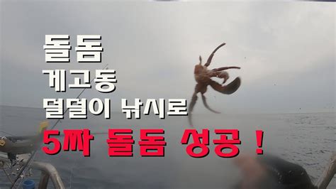 게고동 돌돔 덜덜이 낚시로 5짜 돌돔을 낚았습니다 YouTube