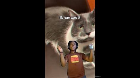 Speed Does Not Like This Cat Youtube