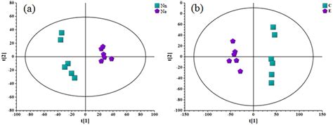 Score Plots Of Pca Of The Metabolites In Wheat From Nn And Ne