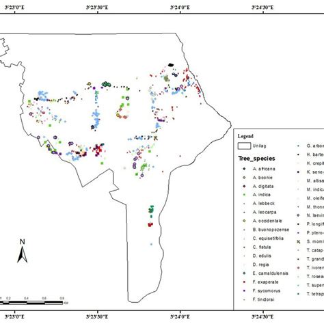Mapping Of Tree Species Distribution In The Study Area Download