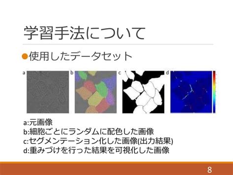U Net Convolutional Networks For Biomedical Image Segmentationの紹介