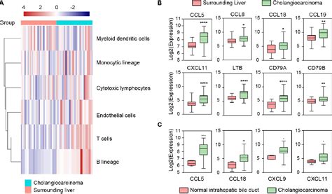 Figure 1 From Tertiary Lymphoid Structures Predict The Prognosis And Immunotherapy Response Of