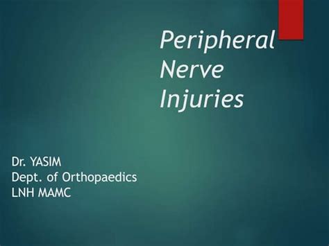 Peripheral Nerves 2024 And Their Adaptions Ppt