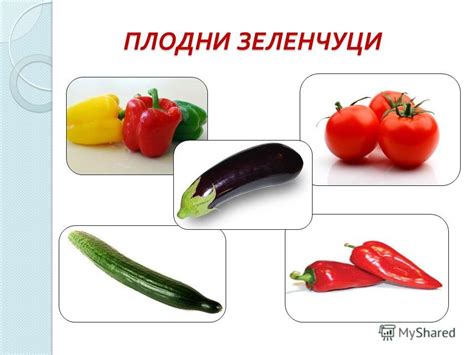 Презентация на тему ЗЕЛЕНЧУЦИТЕ са тревисти растения които хората отглеждат за храна