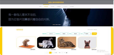 Java萌宠之家在线管理系统ssm Csdn博客