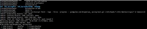 Jenkins无法连接git仓库 Nreyab 博客园