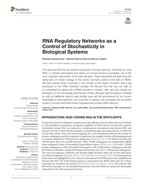 Pdf Rna Regulatory Networks As A Control Of Stochasticity In Biological Systems