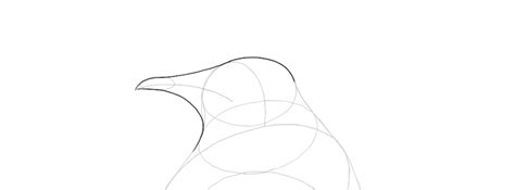 How To Draw A Penguin Envato Tuts