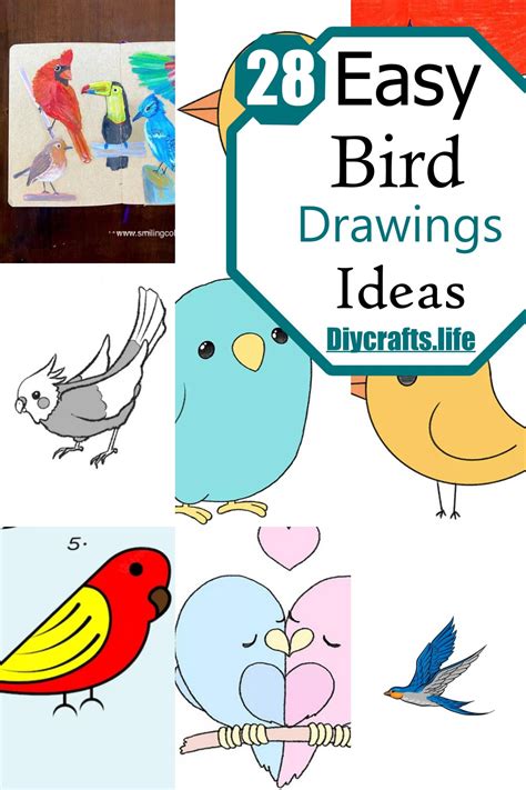 28 Easy Bird Drawings Ideas Step By Step Guide Diy Crafts