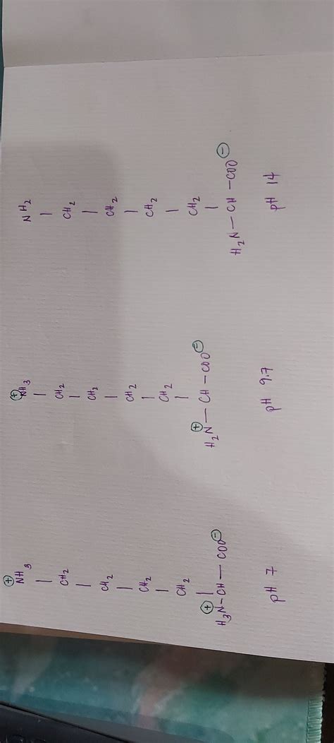 Solved How Do You Draw The Structures Course Hero