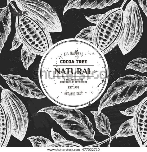 Cocoa Bean Tree Design Template Engraved Stock Vector Royalty Free