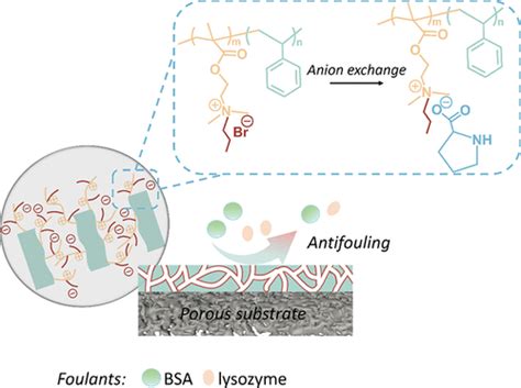 Interfacial Constructing Polyionic Liquids On Nanoporous Block Copolymers For Antifouling