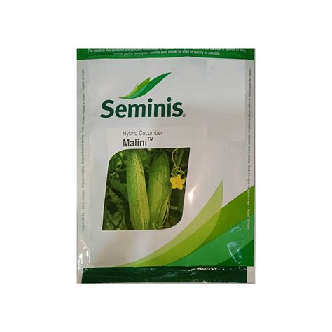 Malini Cucumber Seeds Seminis F1 Hybrid Buy Online At Best Price