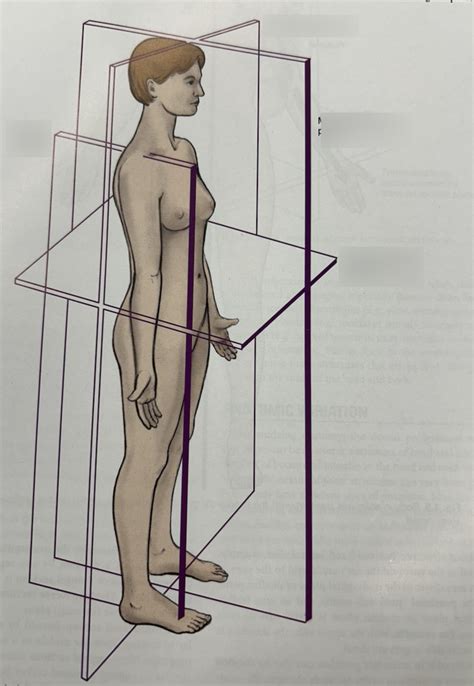 Chapter Diagram Diagram Quizlet