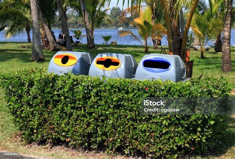 쓰레기통 쓰레기통 플라스틱 플라스틱 쓰레기통 3종류의 쓰레기통 에서 재활용하는 쓰레기통 공공의 나무 벽 0명에 대한 스톡 사진 및 기타 이미지 Istock