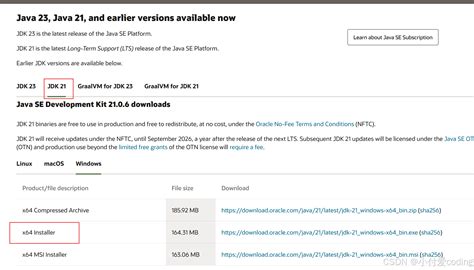 Jdk同时安装多个版本并自由切换（windows11版）全网最详细教程win11安装多个jdk Csdn博客