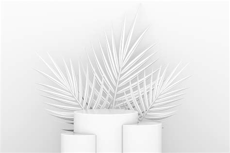 기하학적 형태의 추상적 최소 장면입니다 잎이 있는 실린더 연단 제품 프리젠 테이션 모의 화장품 연단 무대 받침대 또는 플랫폼을 표시합니다 3d 렌더링 보여주기에 대한 스톡