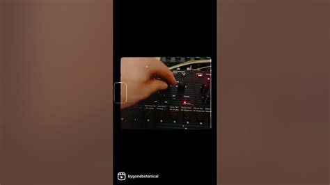 Polymorphism Youtube