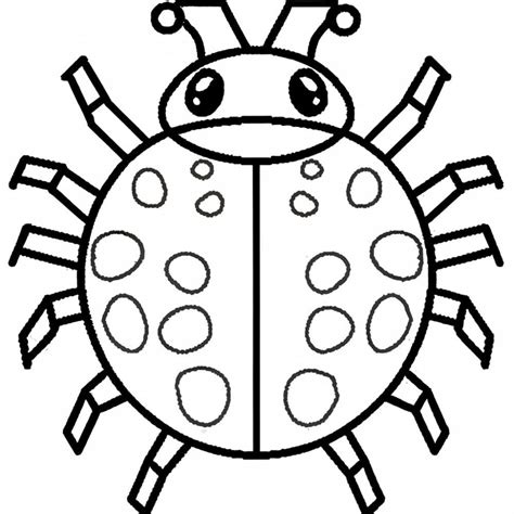 ระบายสีเต่าทอง