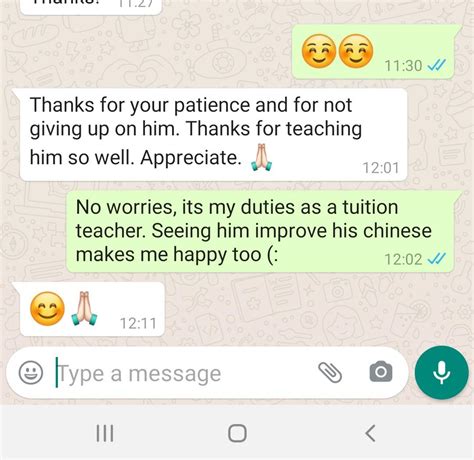 chinese tuition 1 to 1 or group tuition learning and enrichment enrichment and tuition on carousell