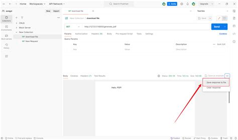 How Does Postman Request To Downloadexport Excelpdf Files