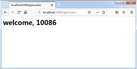 Flask Cookies 处理 Flask 教程