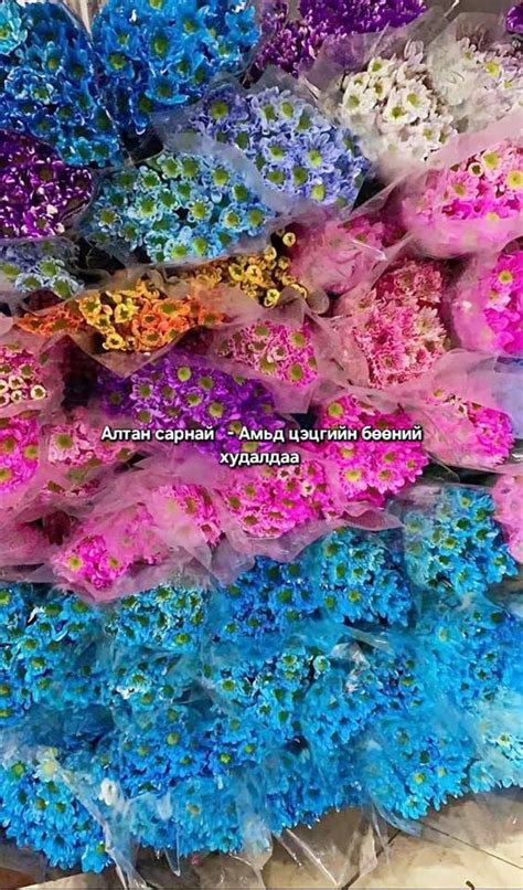 Алтан сарнай Алтан сарнай Амьд цэцгийн бөөний худалдаа
