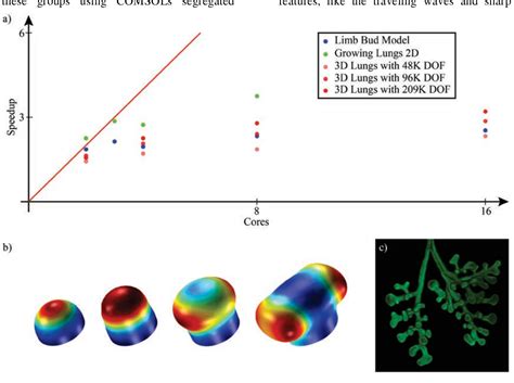 Figure 3 From Simulating Organogenesis In Comsol Semantic Scholar
