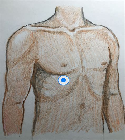 Heart Art Ecg Guru Instructor Resources