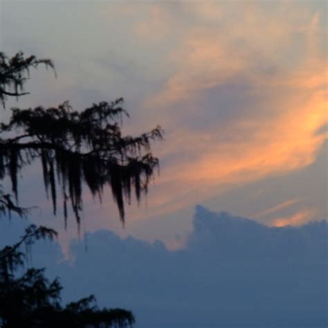 Shankar Aithal Corporate Metallurgist Doctor Of Philosophy Metals