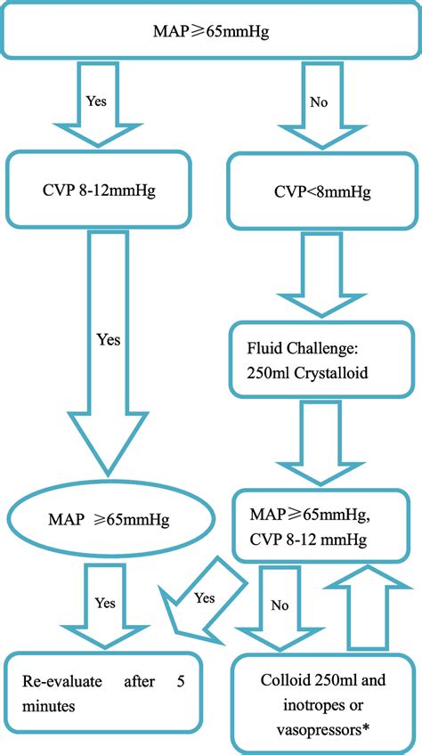 Algorithm For Fluid Therapy In The Operating Room In The Control Group Download Scientific