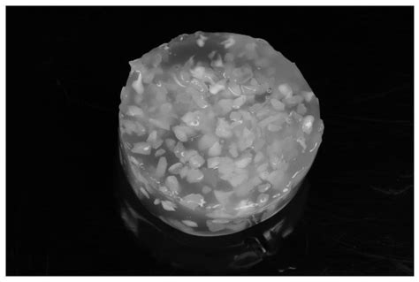 一种基于颗粒状骨替代物 丝素蛋白 透明质酸水凝胶的光固化复合成骨支架及其制备方法与流程