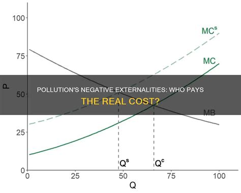 Pollutions Negative Externalities Who Pays The Real Cost Shunwaste