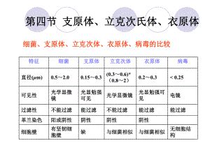支原体立克次氏体衣原体