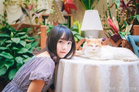 向來緣淺奈何情深有緣再見無緣永別 每日頭條